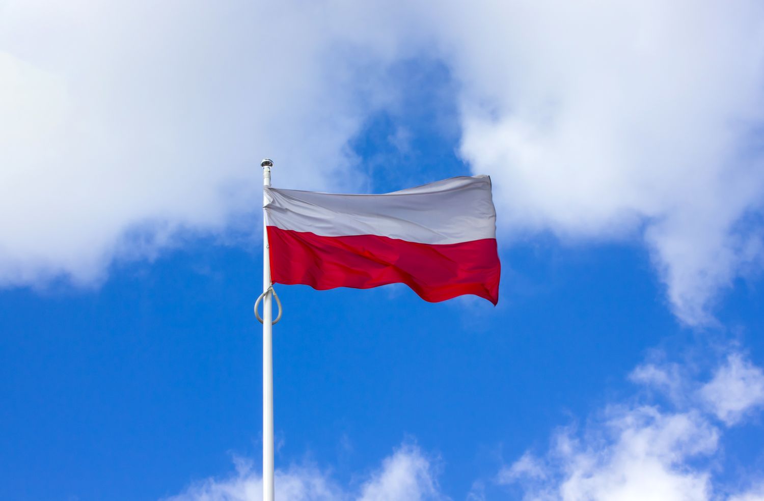 Flaga z godłem i bez godła – kiedy używać której wersji?